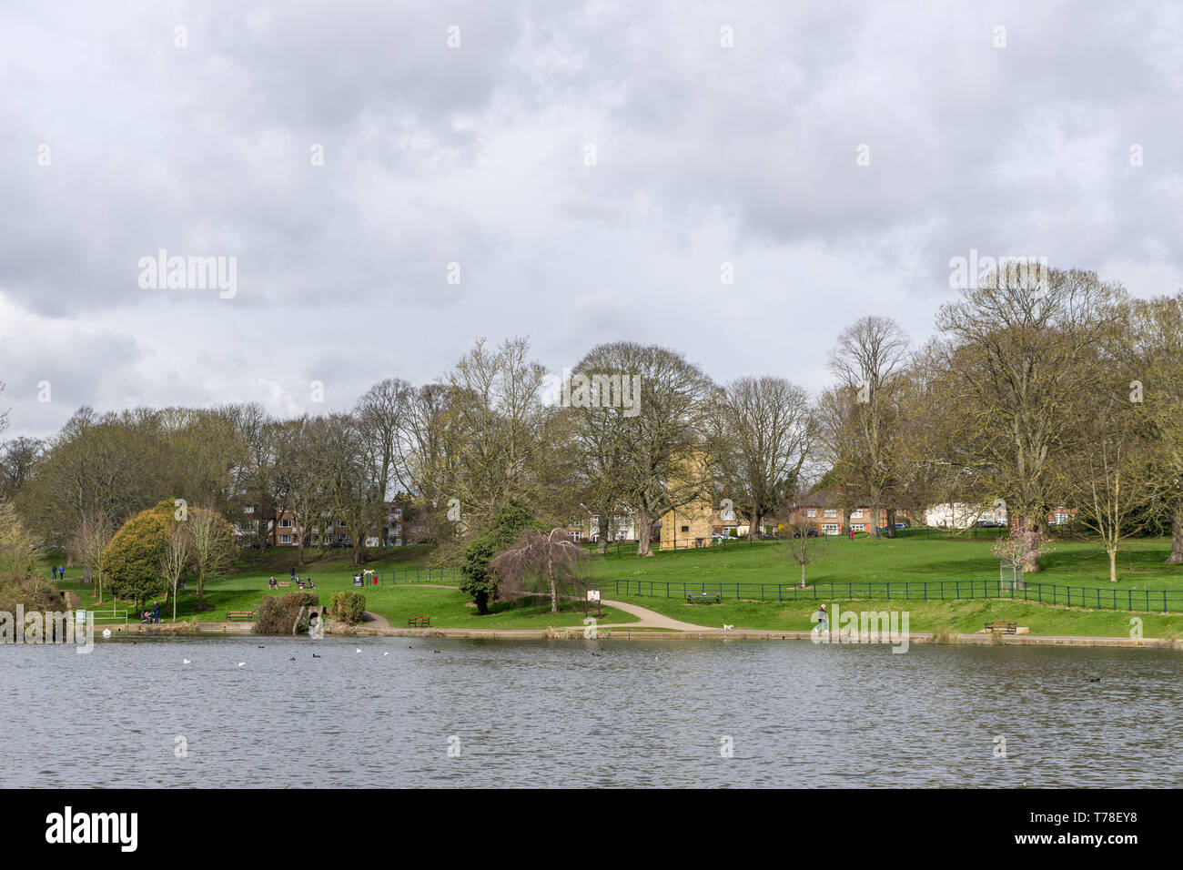 A view across the lake in Winter, Abington Park, Northampton, UK Stock ...