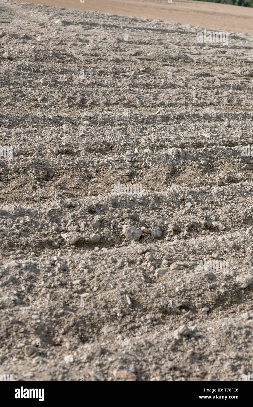 Dried earth in a tilled / ploughed field, with furrows / tyre marks ...