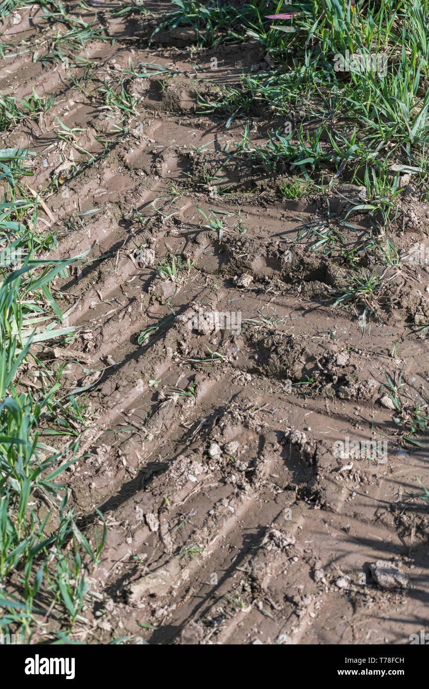 Vehicle track in the mud hi-res stock photography and images - Alamy