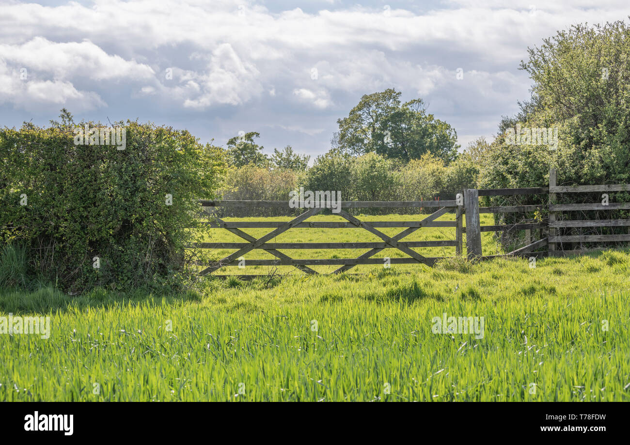 Gated entrance to field. Metaphor for UK agriculture and farming, but ...