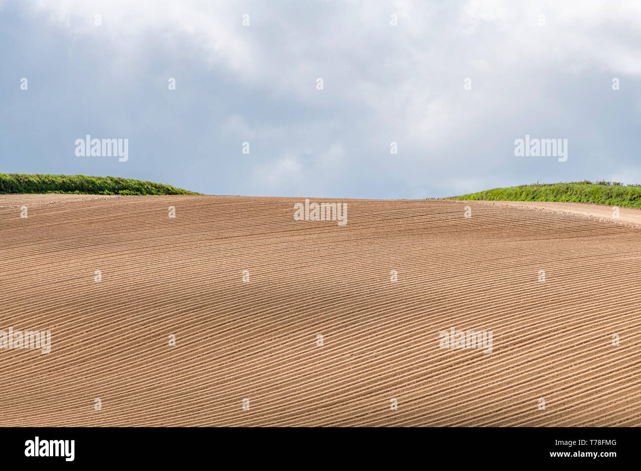 Farming Field Ridges Soil High Resolution Stock Photography and Images ...