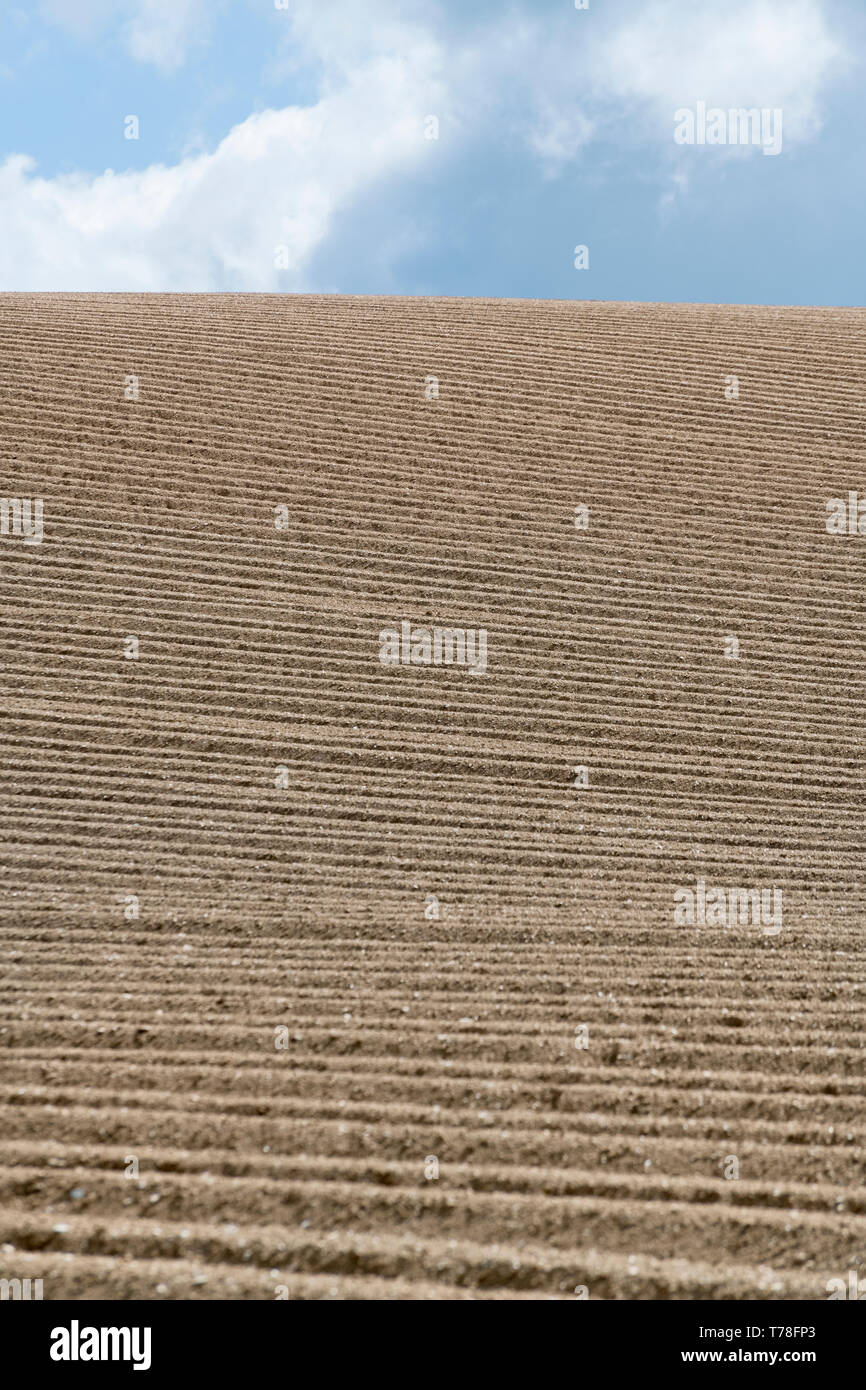 Farming Field Ridges Soil High Resolution Stock Photography and Images ...