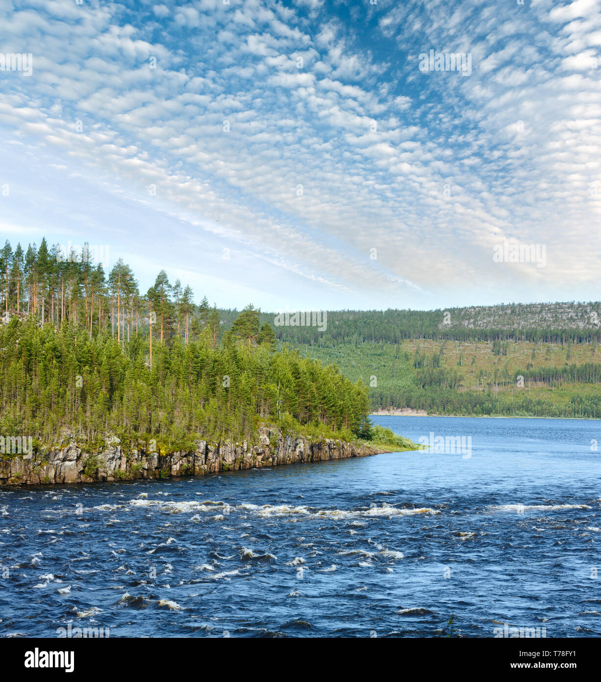 A river in Sweden in the summer Stock Photo - Alamy