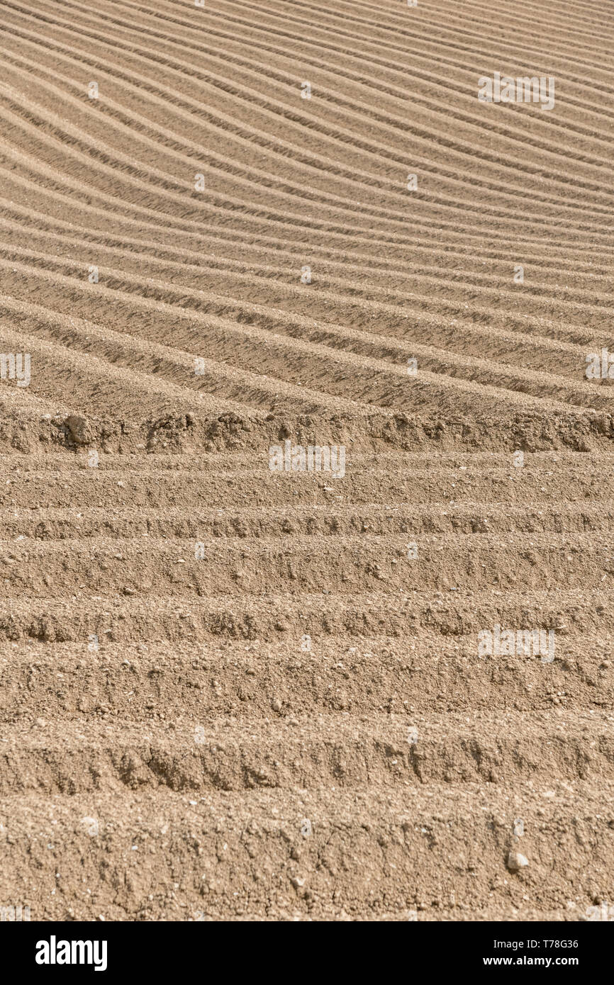 Ridge and furrow patterns in ploughed field of tilled soil - for a ...