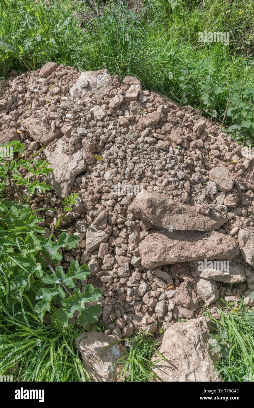 Pile of stones extracted from field during ploughing and preparing for ...