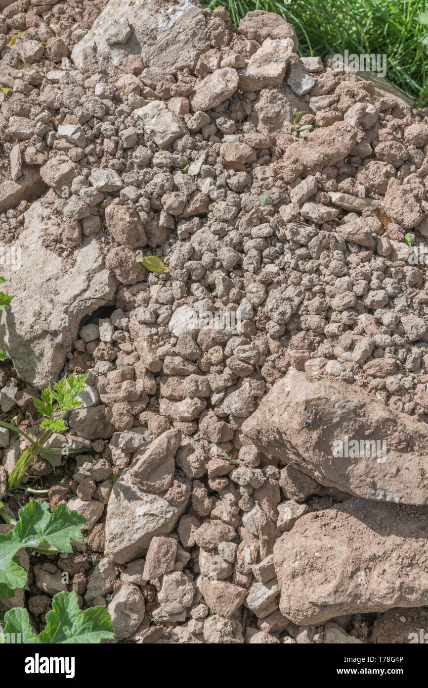 Pile of stones extracted from field during ploughing and preparing for ...
