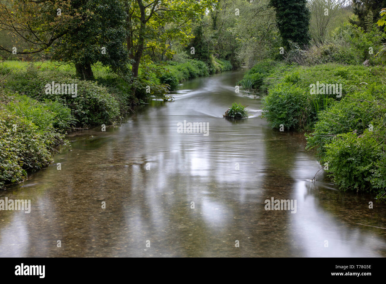 Stream through English Rural Countryside in Hampshire taken with a long ...
