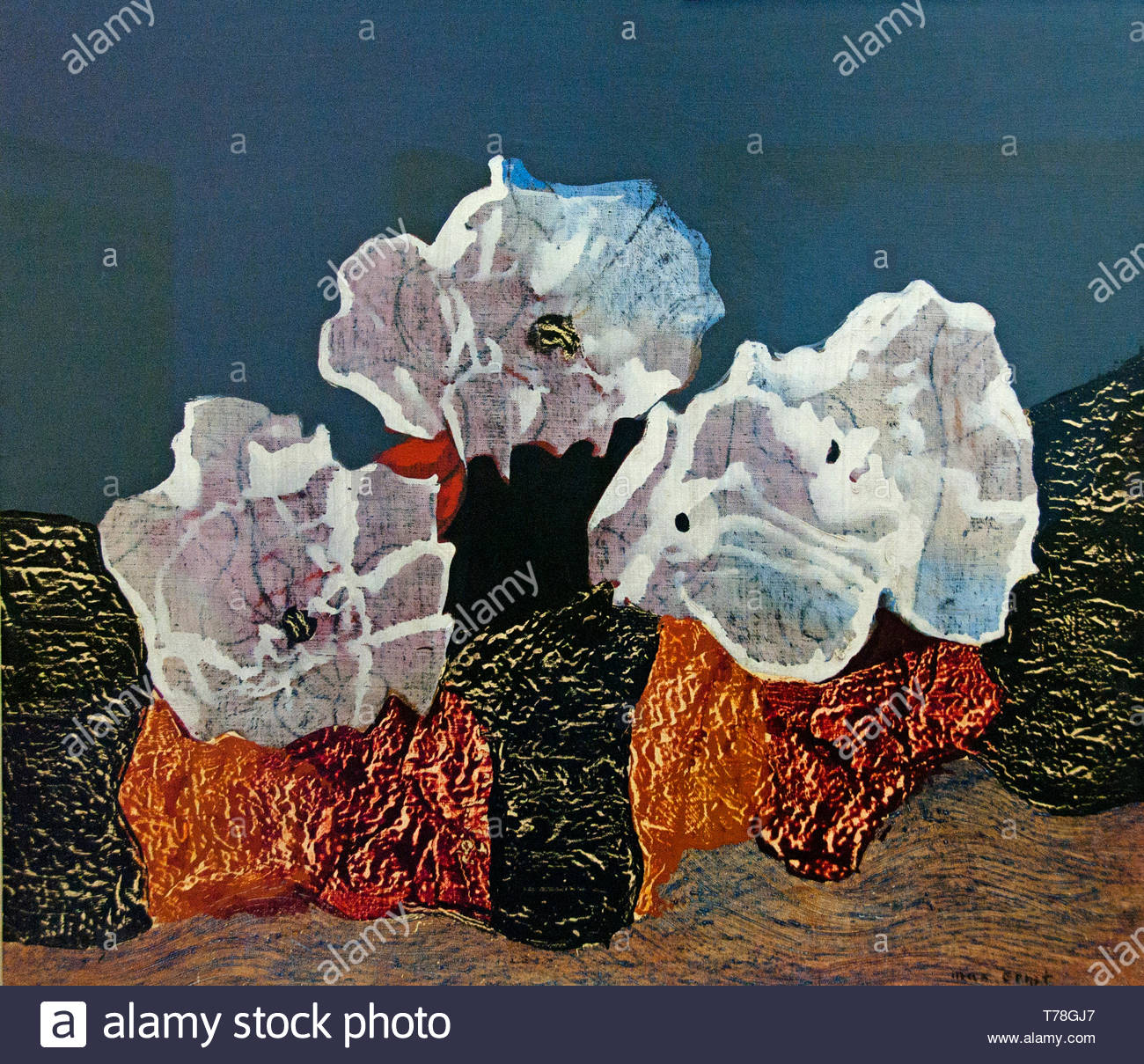 Surrealism Surrealism Stock Photos & Surrealism Surrealism Stock Images ...