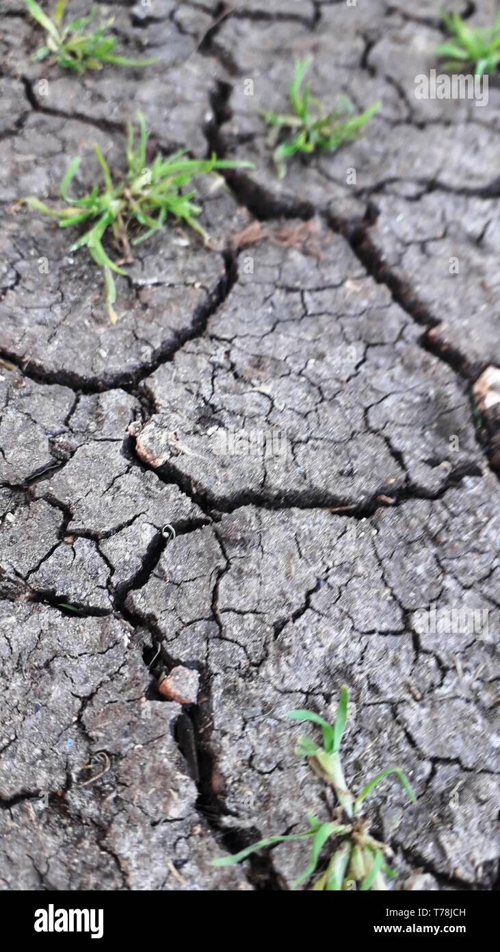 Dry cracked earth during drought Stock Photo - Alamy