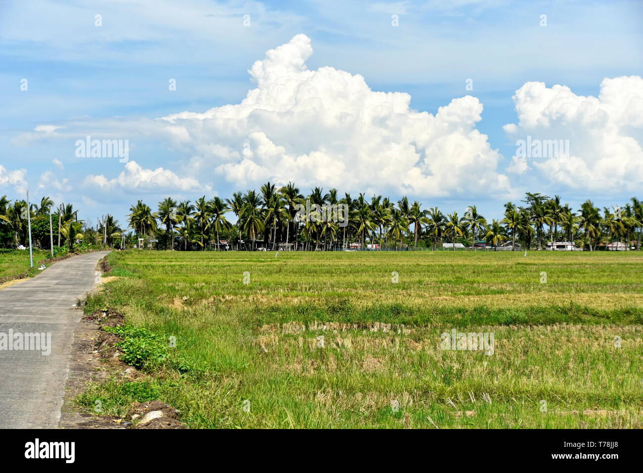 Around the Santiago City, Isabela, Philippines, Santiago City ...