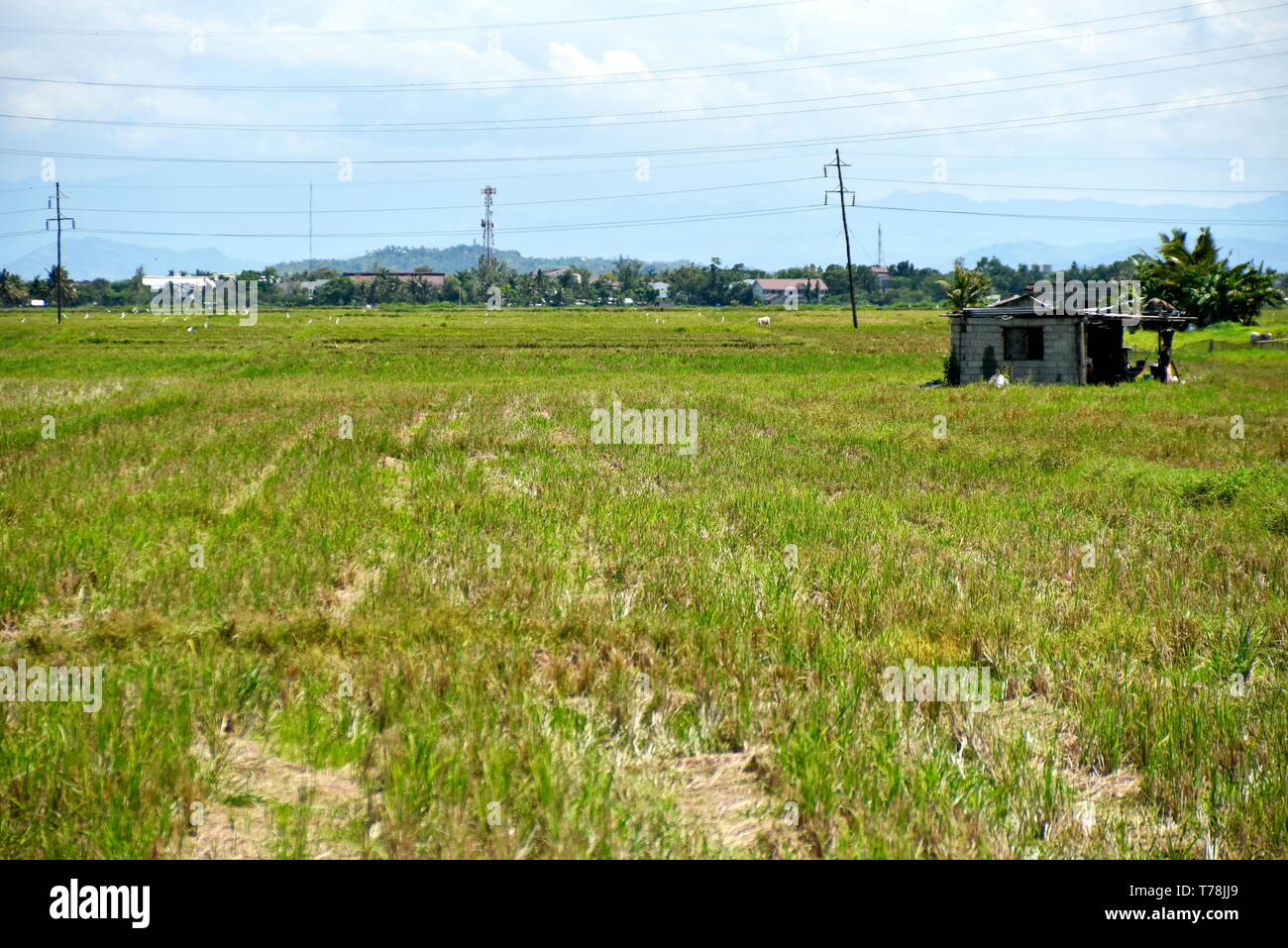 Around the Santiago City, Isabela, Philippines, Santiago City ...