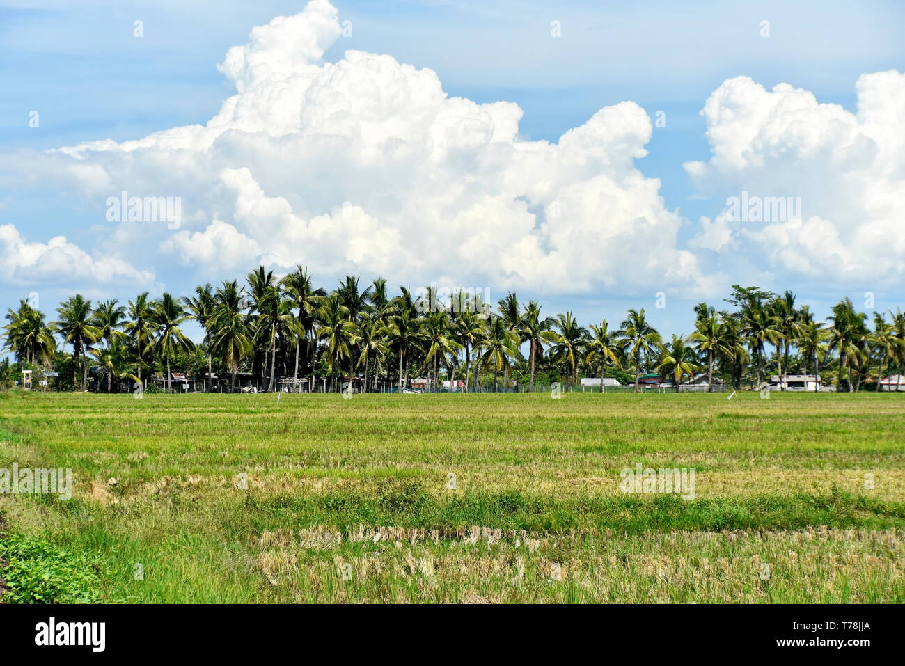 Around the Santiago City, Isabela, Philippines, Santiago City ...