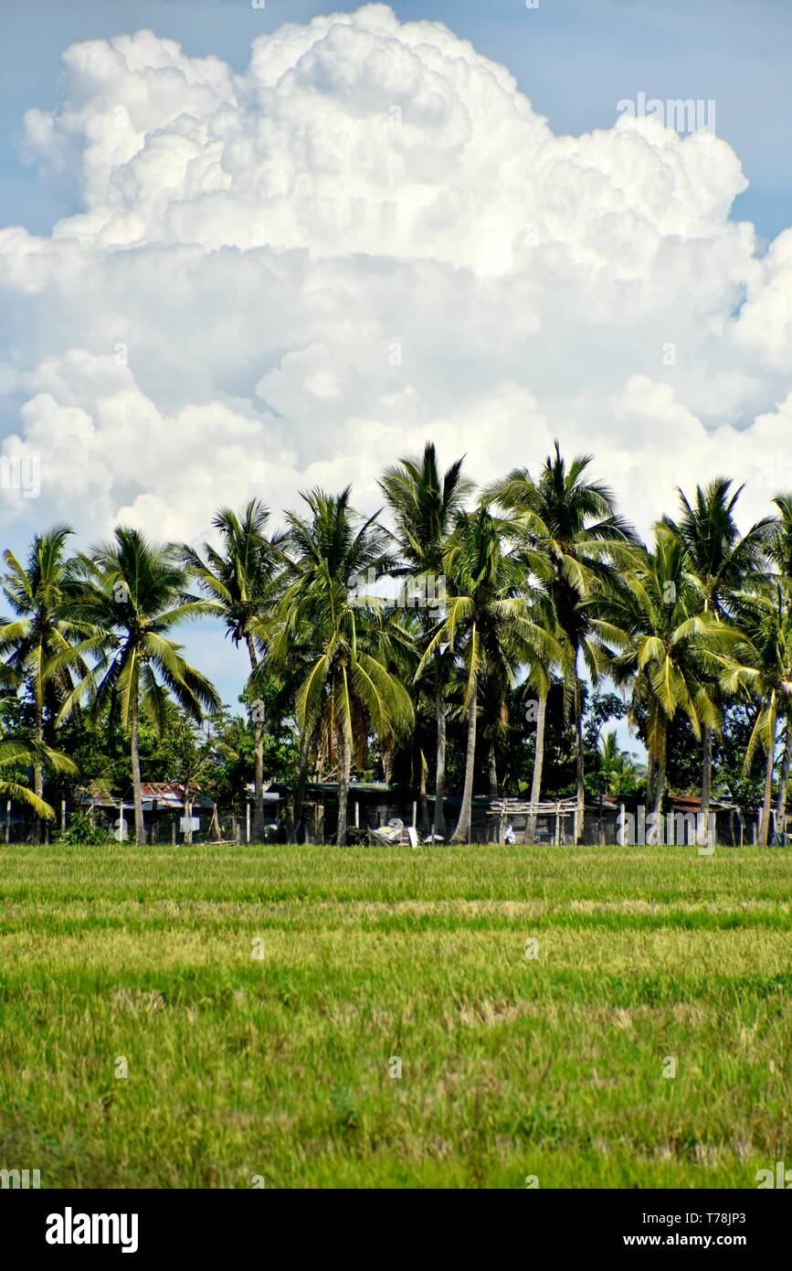 Around the Santiago City, Isabela, Philippines, Santiago City ...