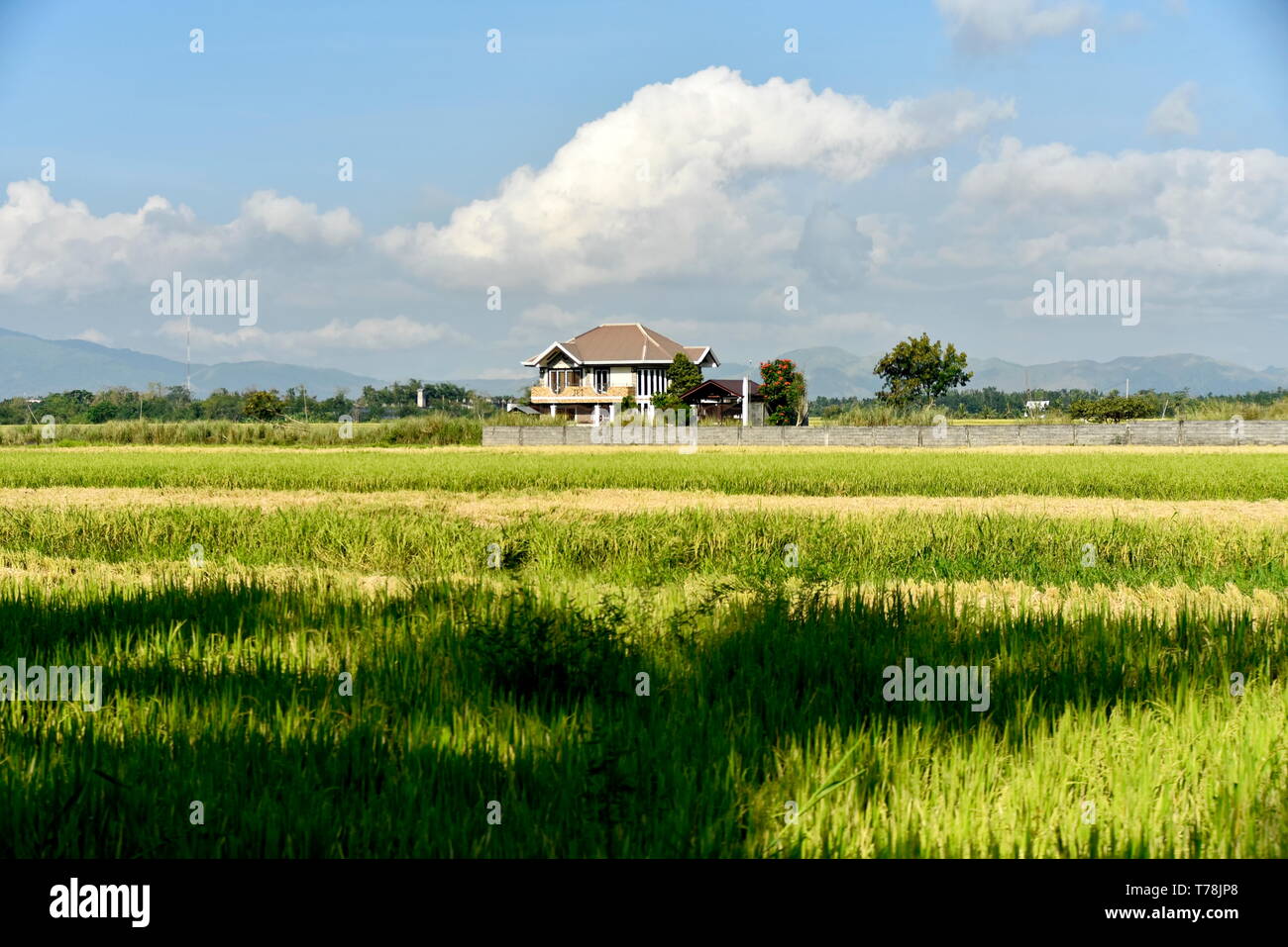 Around the Santiago City, Isabela, Philippines, Santiago City ...