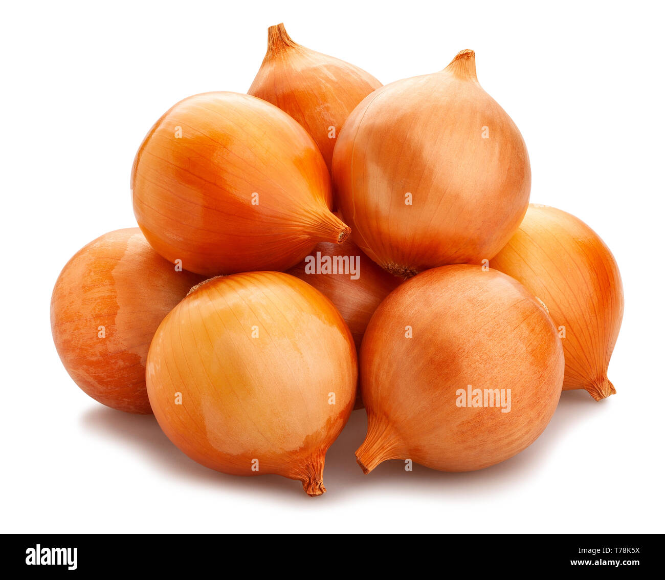 onions path isolated Stock Photo - Alamy