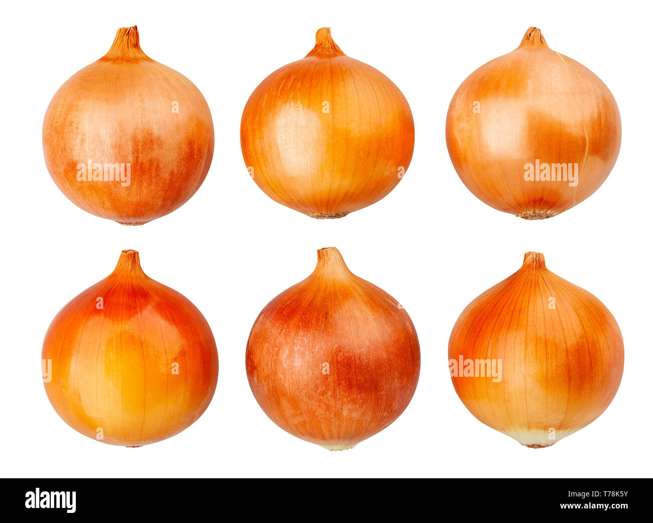 onions path isolated Stock Photo - Alamy