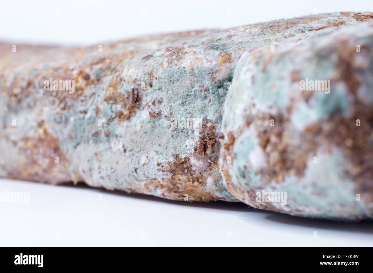 The texture of the mold. Food mold on meat. Isolate Stock Photo - Alamy