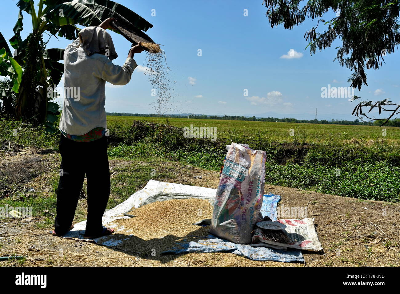 Santiago city, Isabela, Philippines, April 16, 2019, An old woman ...