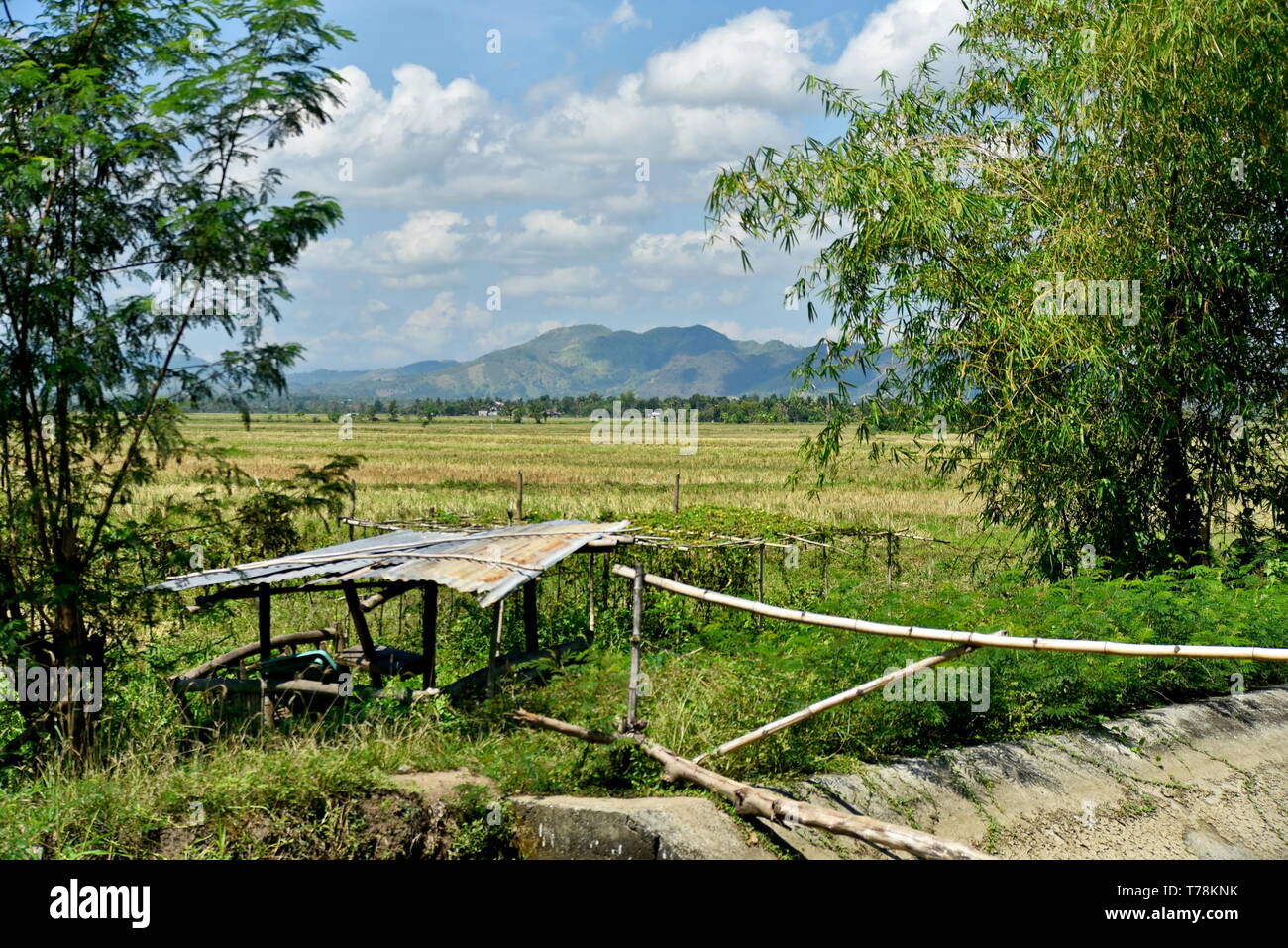 Santiago city, Isabela, Philippines, April 16, 2019, An old woman ...