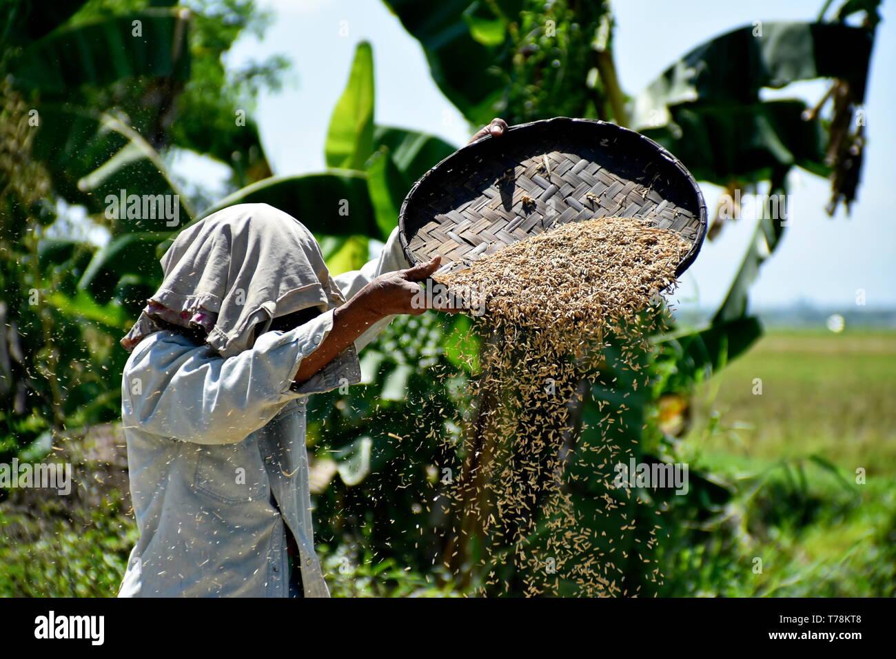 Santiago city, Isabela, Philippines, April 16, 2019, An old woman ...
