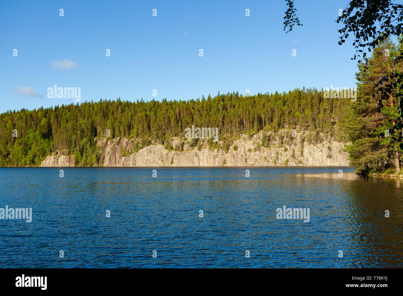 Cliff forest hi-res stock photography and images - Alamy