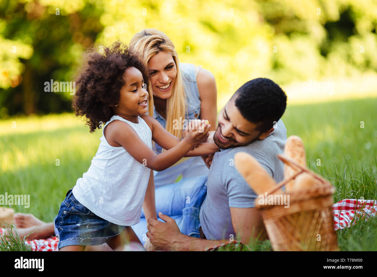 Happy family having fun time on picnic Stock Photo - Alamy