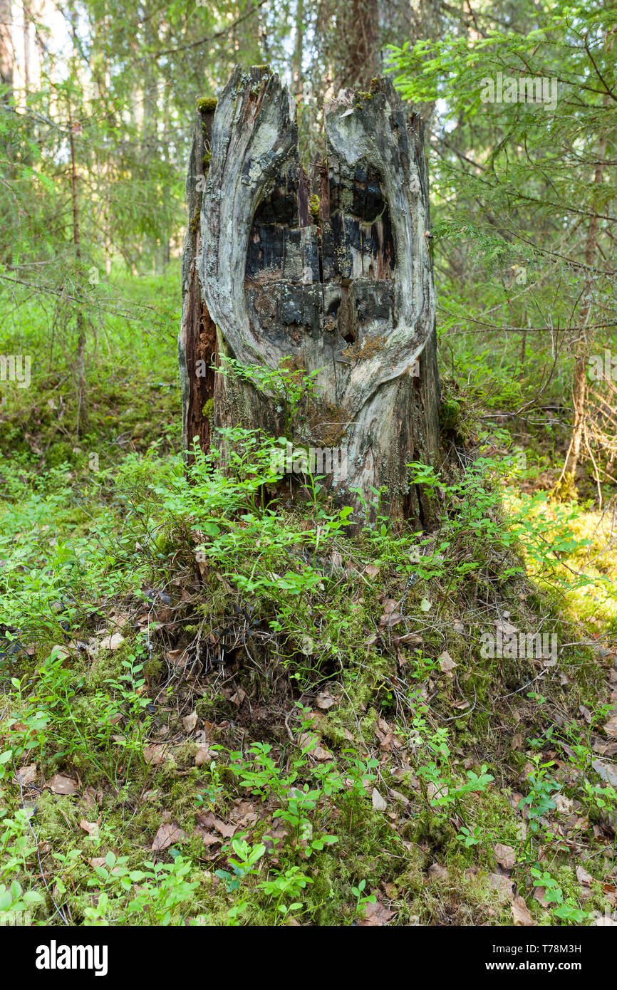 Face illusion hi-res stock photography and images - Alamy