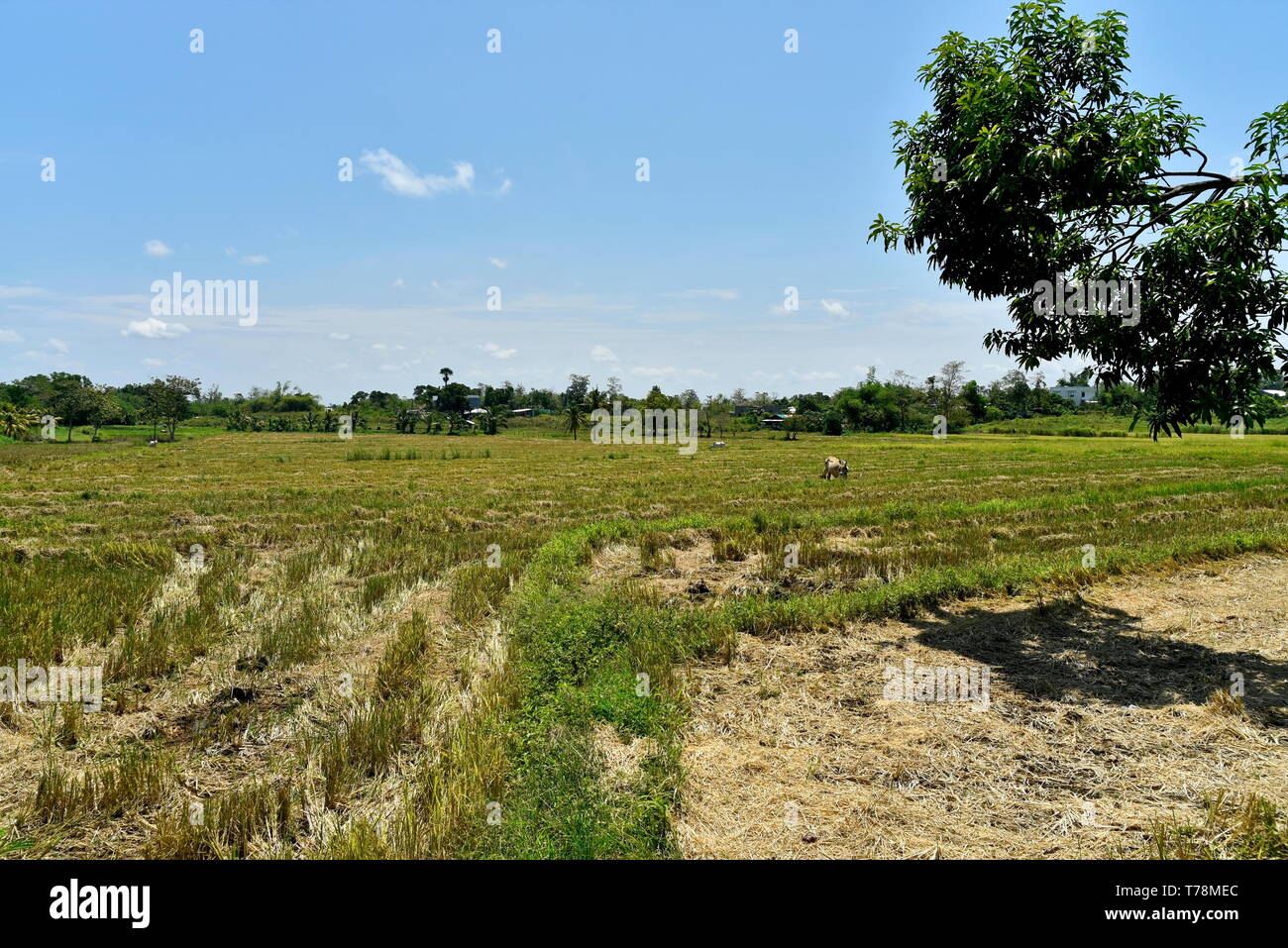 Around the Santiago City, Isabela, Philippines, Santiago City ...