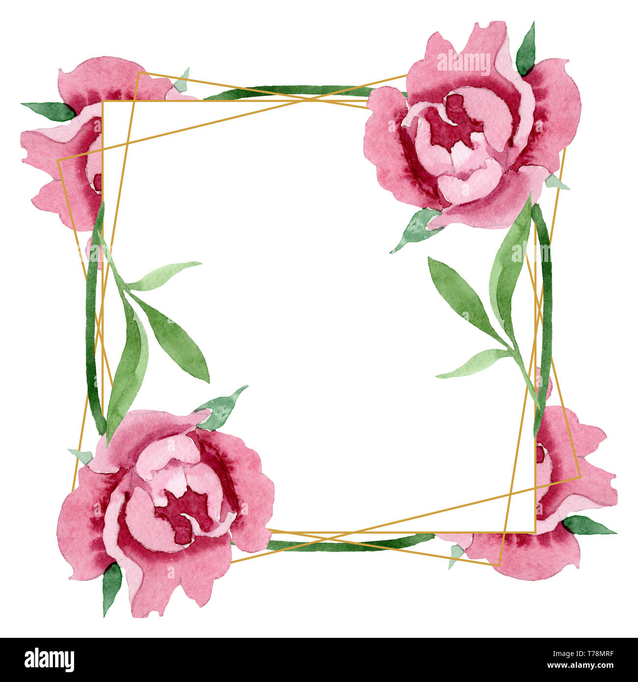 Dark red peony floral botanical flowers. Watercolor background ...