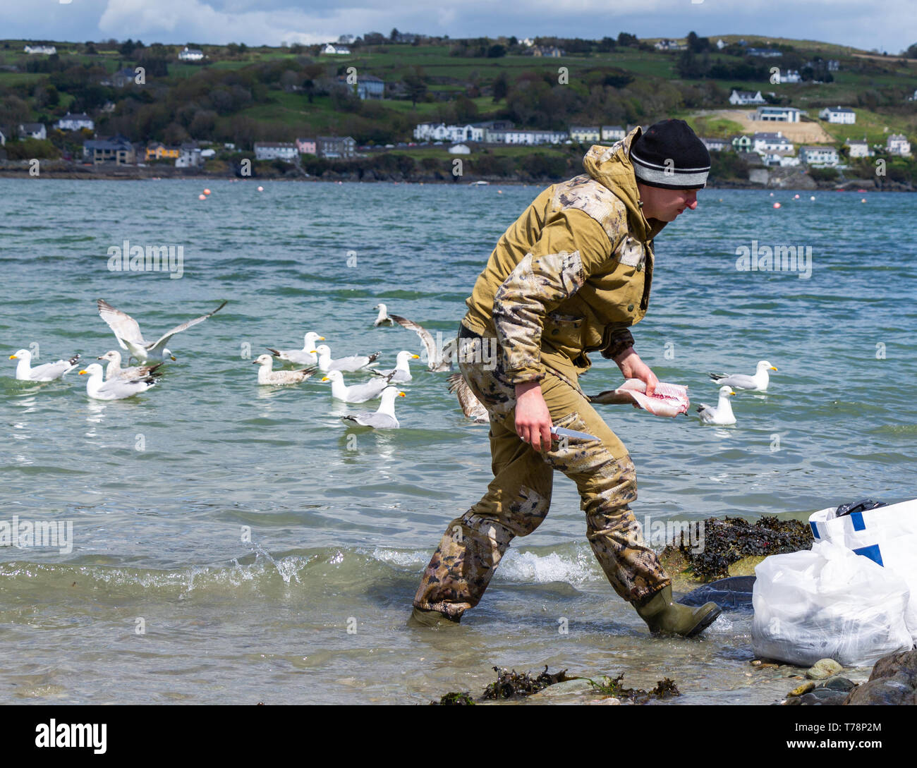 Male sea angler cleaning his catch of line caught fish in the sea Stock ...