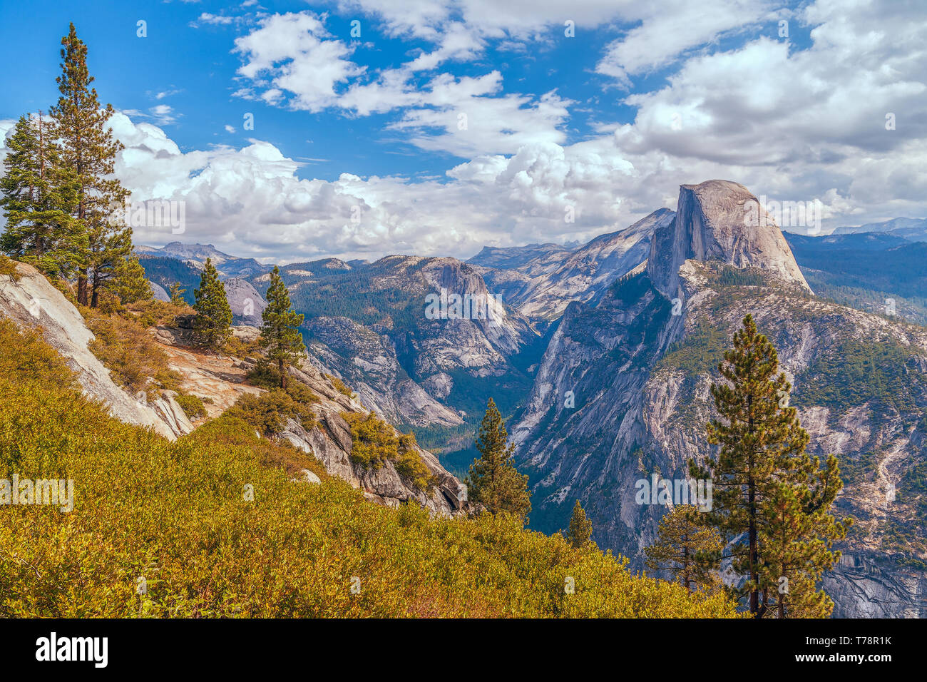 View of Half Dome from Washburn Point overlook. Yosemite National Park ...