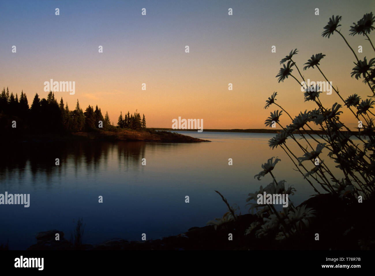 Cote nord quebec hi-res stock photography and images - Alamy