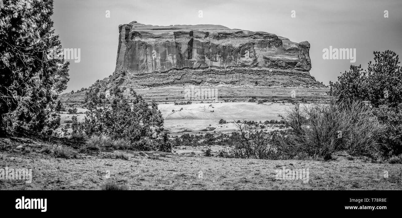 Amazing landscape and vegetation in the desert of Utah Stock Photo - Alamy