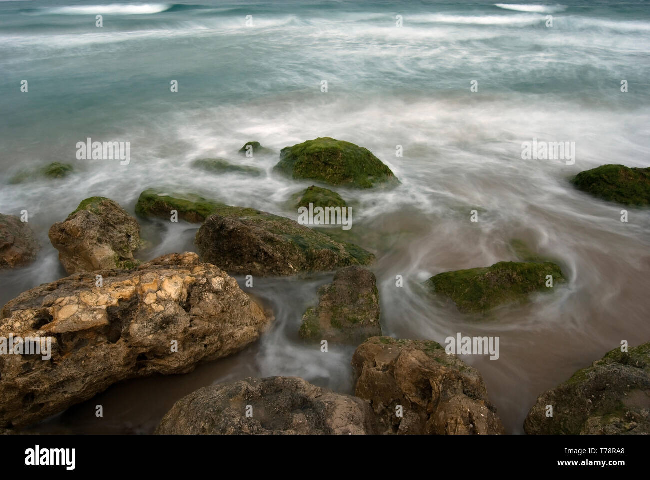 Beautiful Ocean Scenic View in Tropical South Florida Stock Photo - Alamy