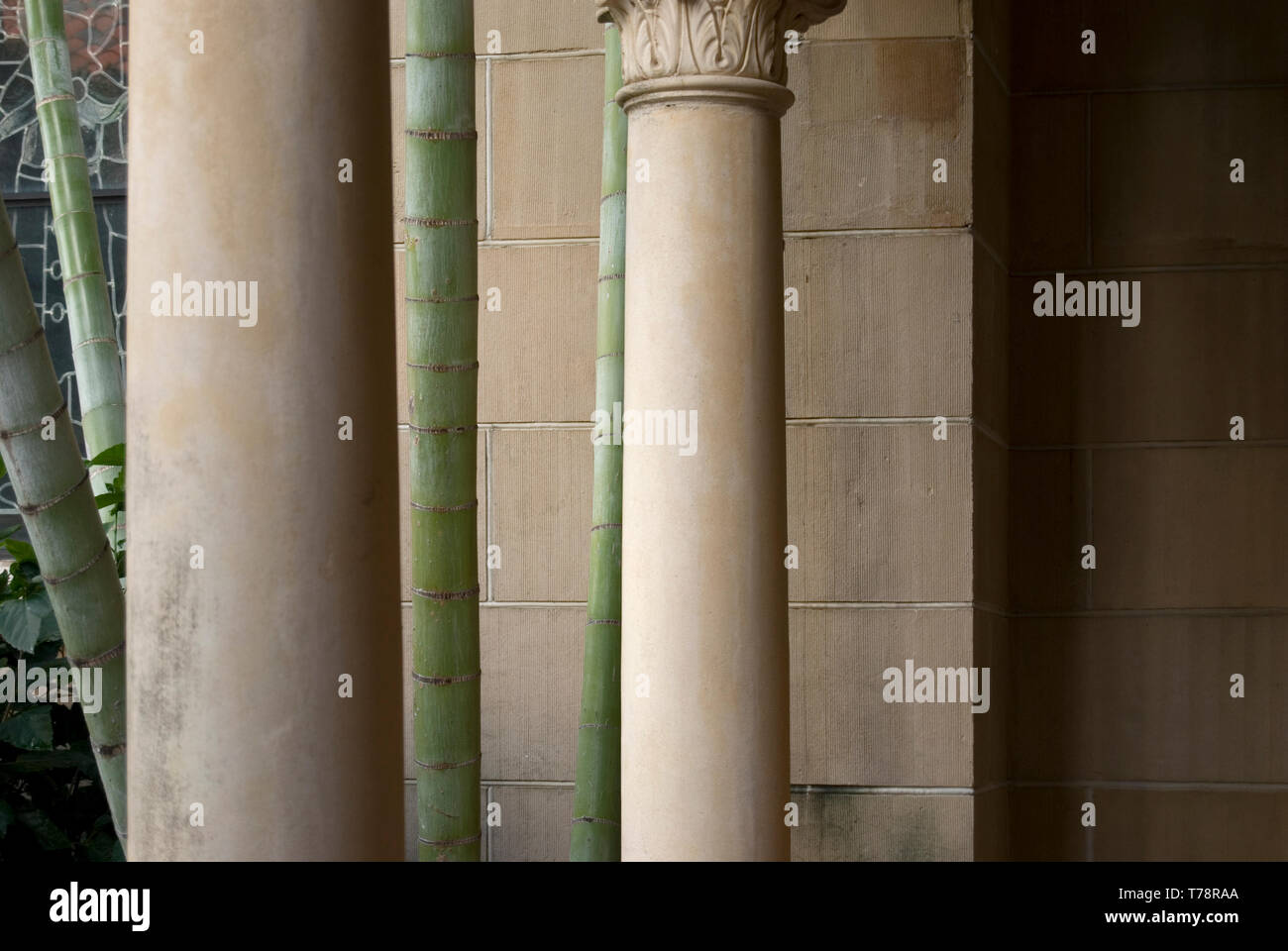 Beautiful Architecture Details of Columns from a Church Stock Photo - Alamy