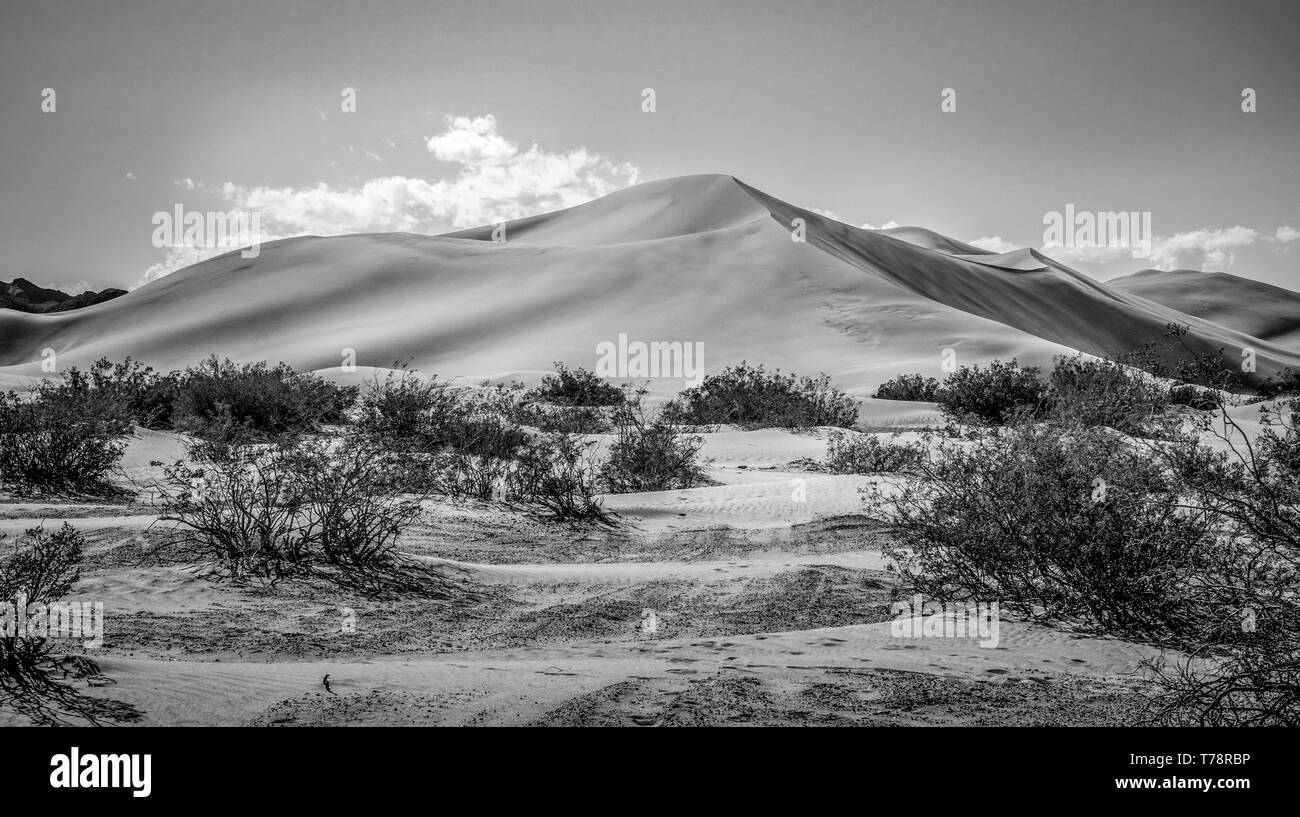 Big Sand Dunes in the desert of Nevada Stock Photo - Alamy