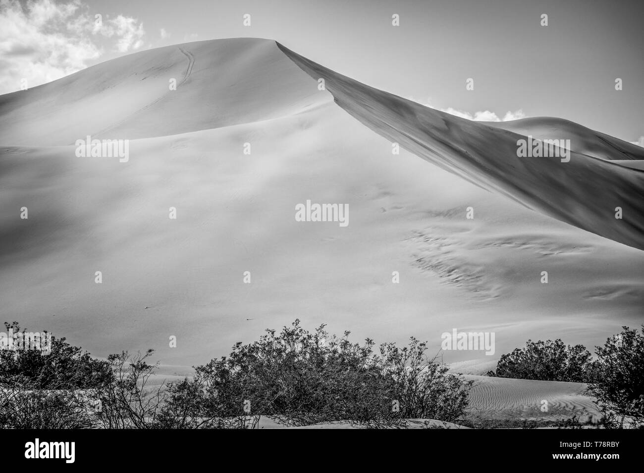 Big Sand Dunes in the desert of Nevada Stock Photo - Alamy