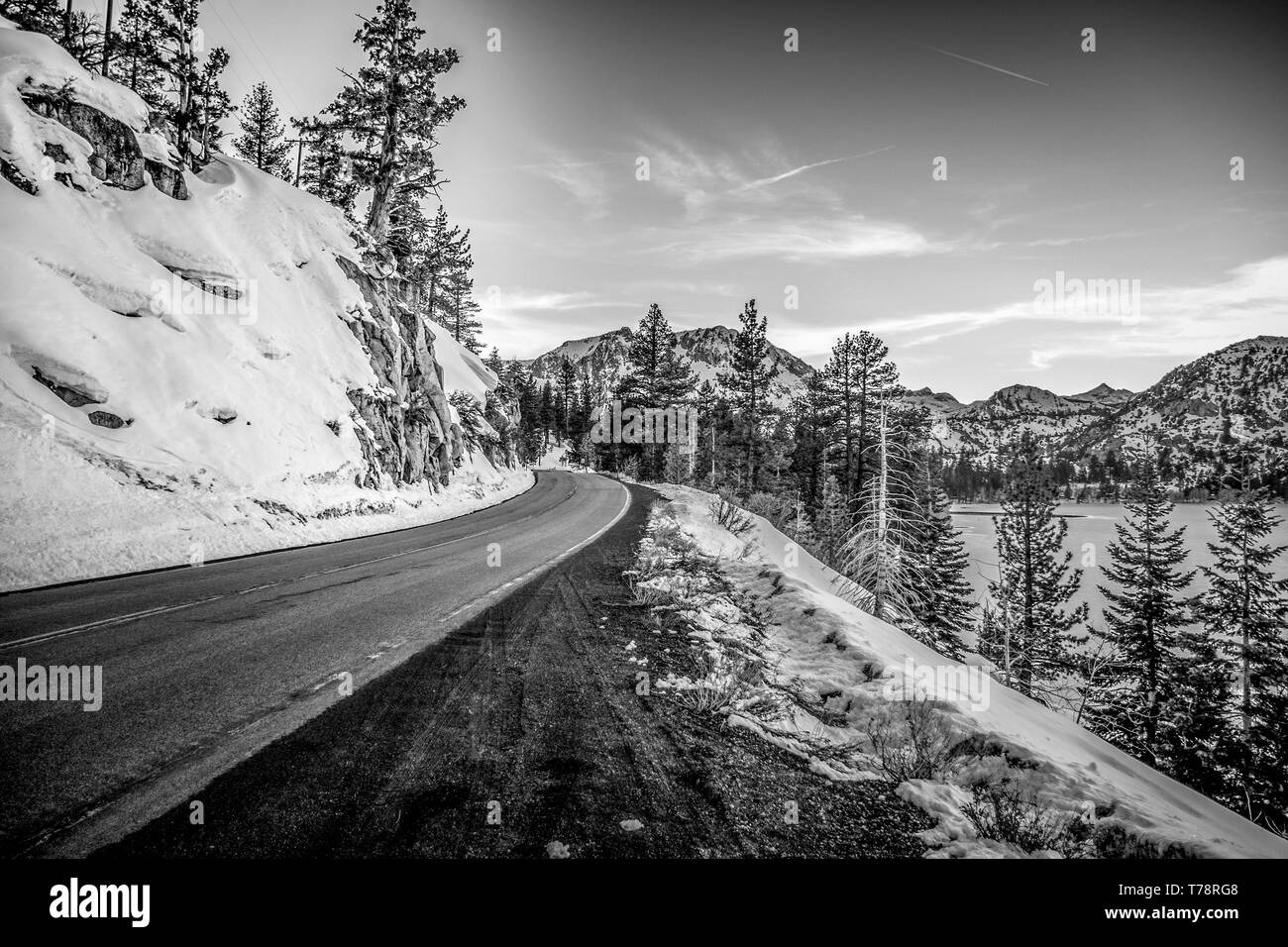 Road in forest valley Black and White Stock Photos & Images - Alamy