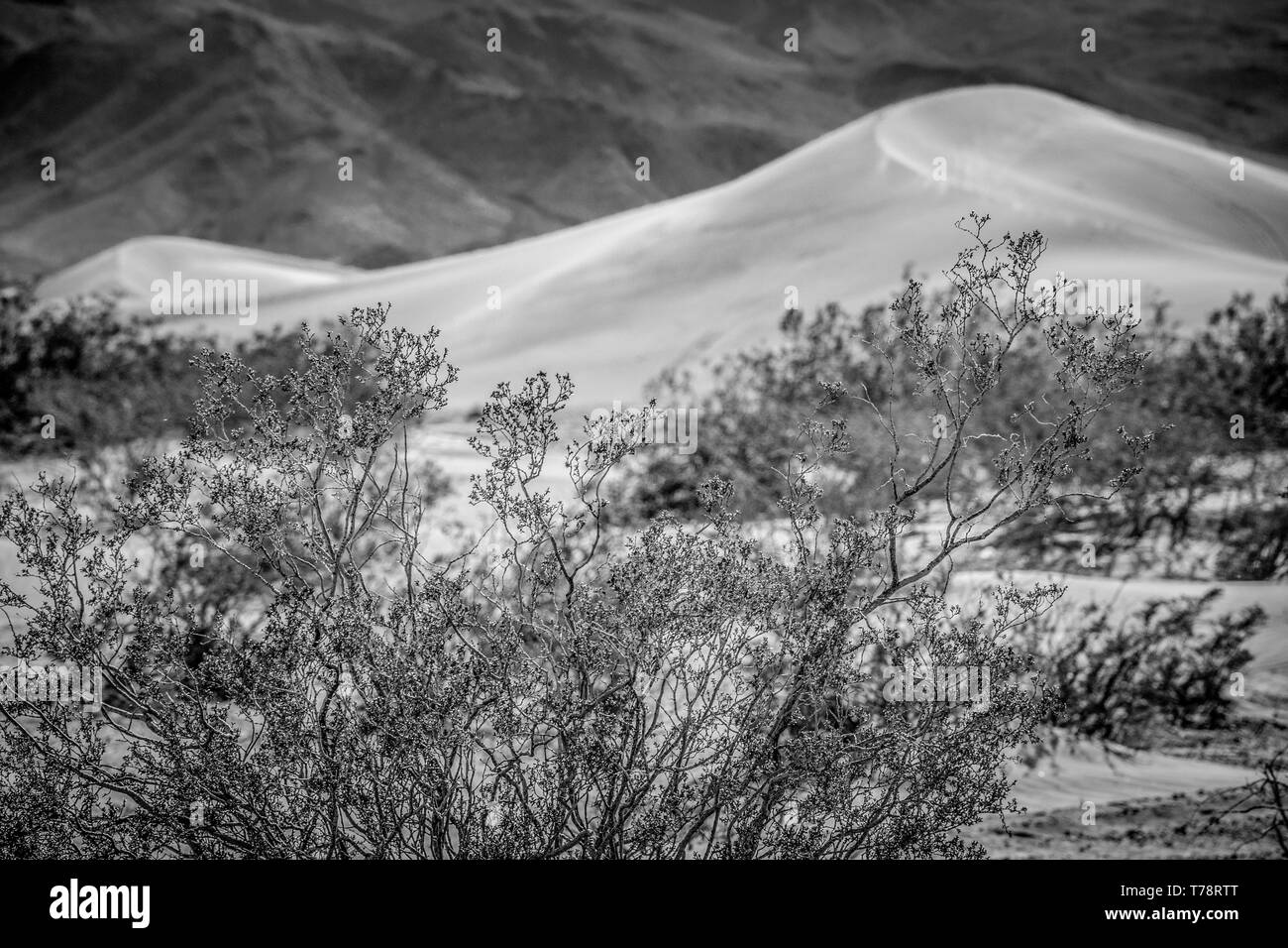 Desolate sand terrain Black and White Stock Photos & Images - Alamy