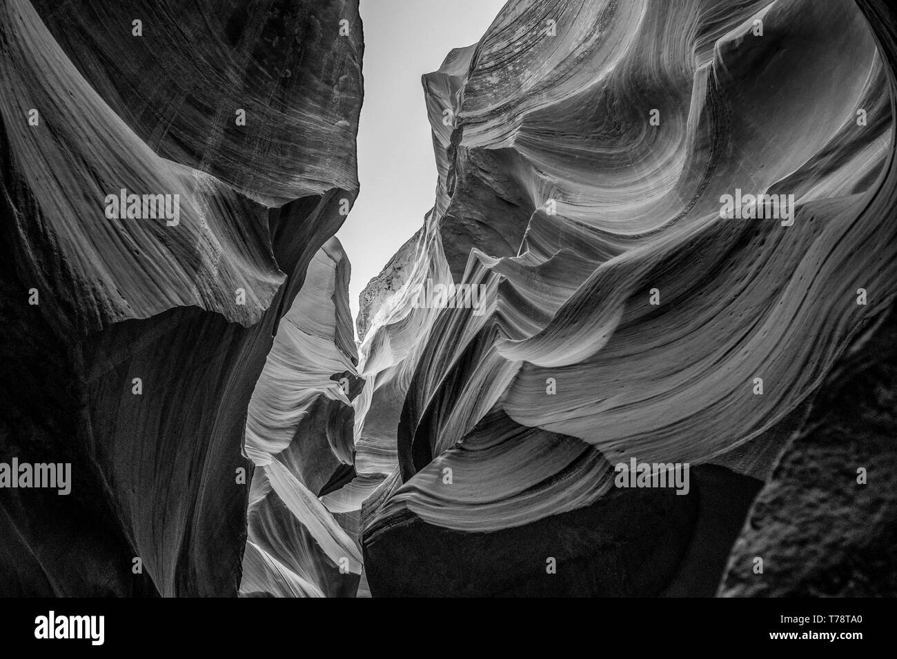 Curved sandstone formations at Antelope Canyon Stock Photo - Alamy