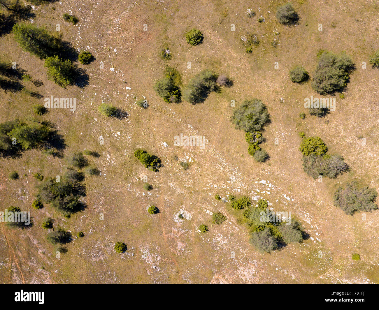 Top down aerial view of calcareous limestone karst landscape of Causse ...