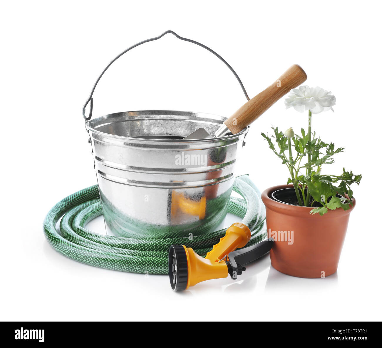 Pot with plant and gardening equipment on white background Stock Photo ...