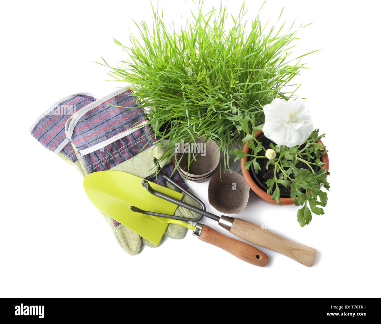 Plant with gardening tools on white background Stock Photo - Alamy