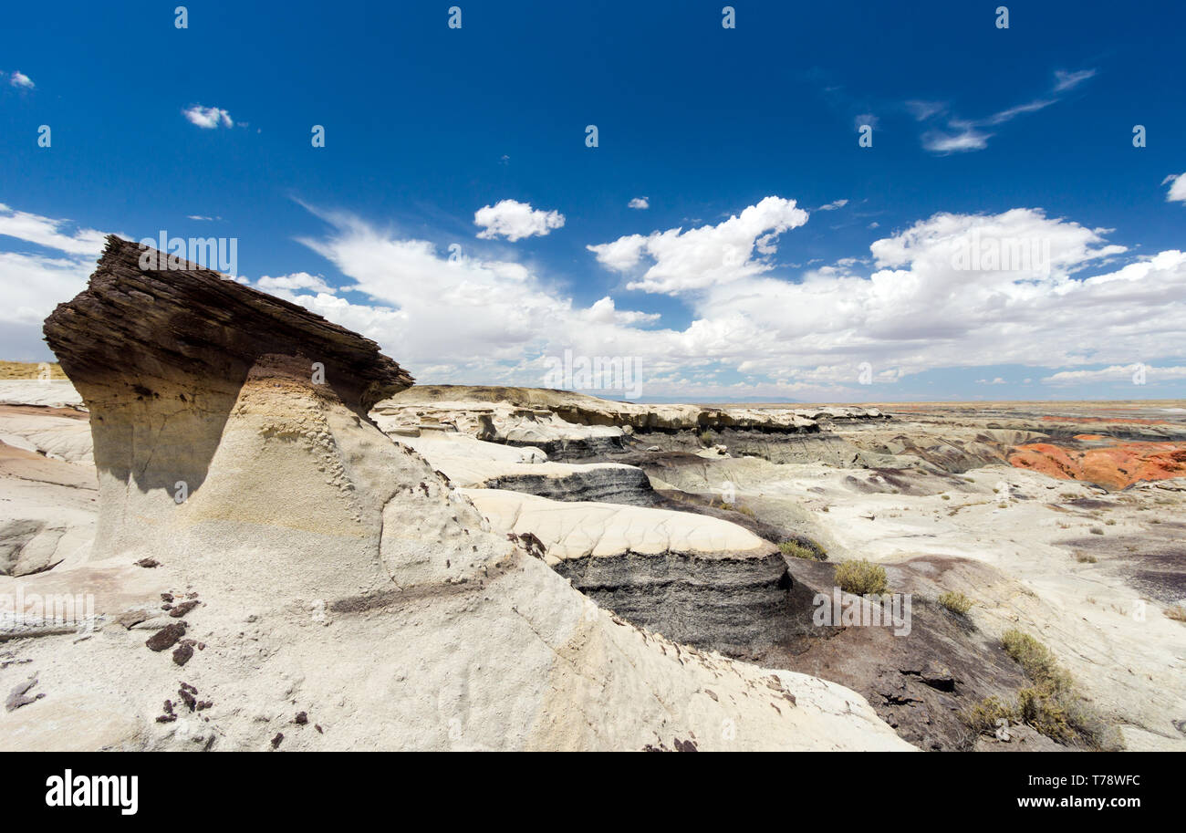 panorama rock desert landscape in northern New Mexico in the Bisti/De ...
