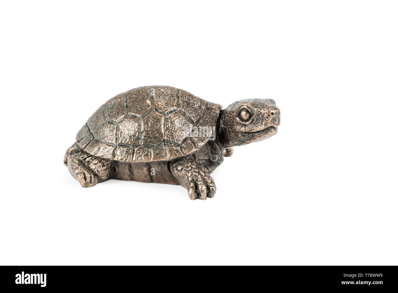 small bronze statuette of a turtle, head turned to the camera, isolated ...