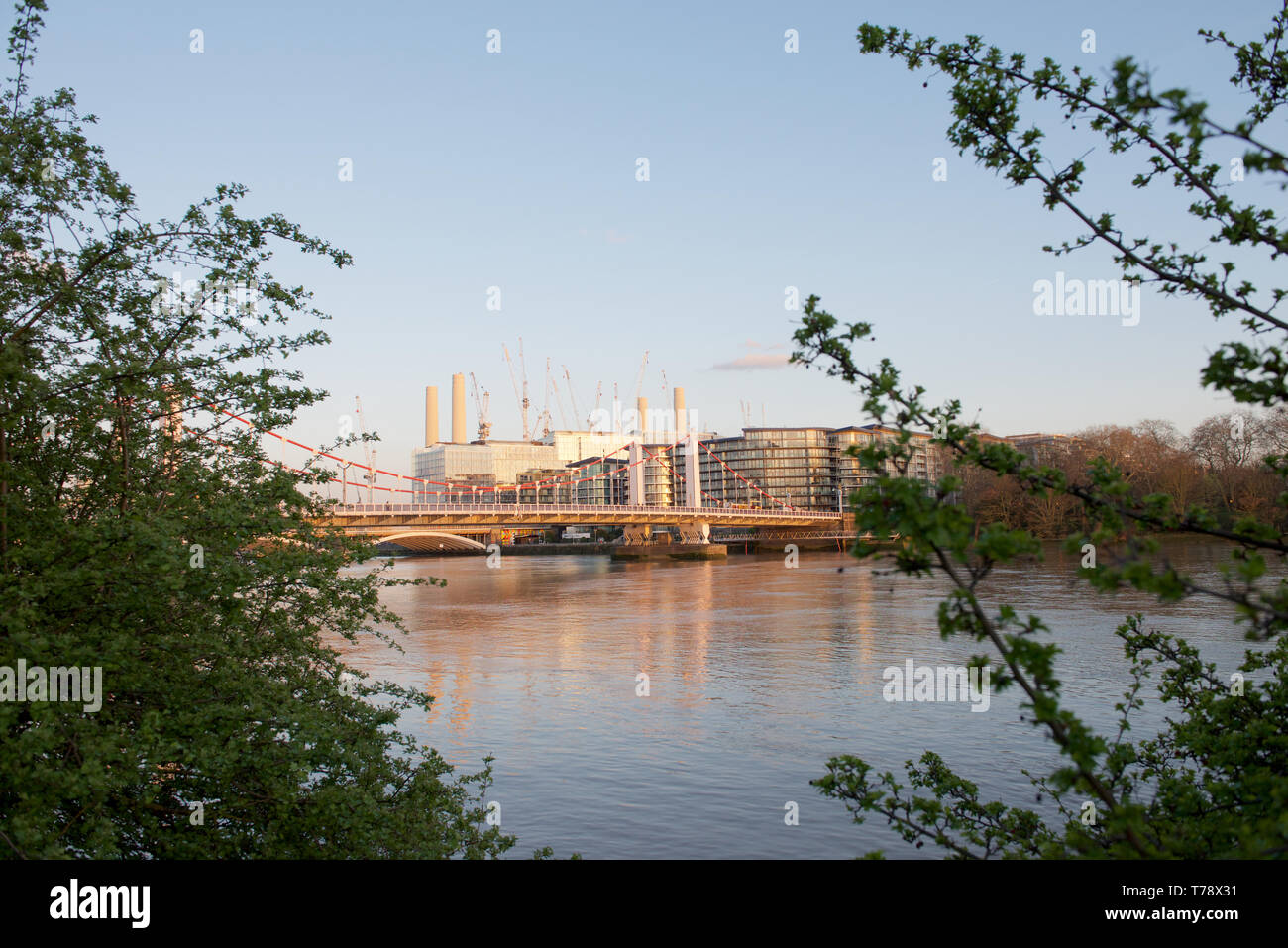 Chelsea Bridge over the River Thames in London, England Stock Photo - Alamy