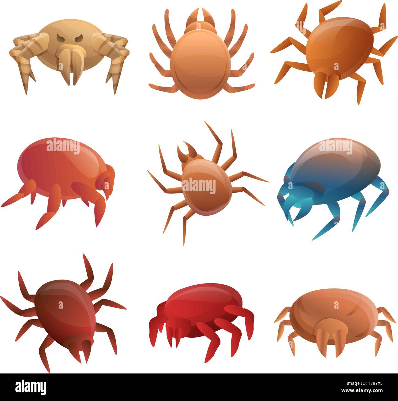 Red Spider Mites Stock Photos & Red Spider Mites Stock Images - Alamy
