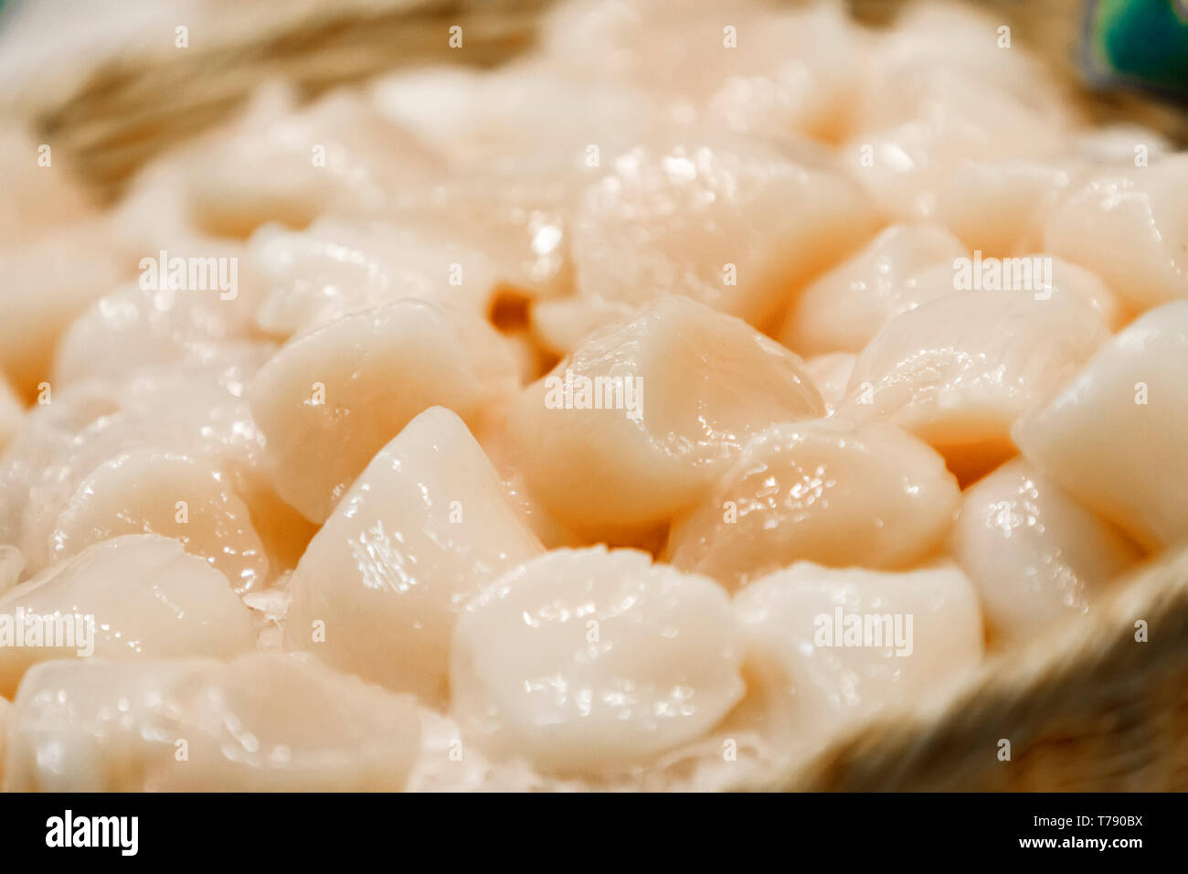 Closeup of the scallop meat on the fish market Stock Photo - Alamy