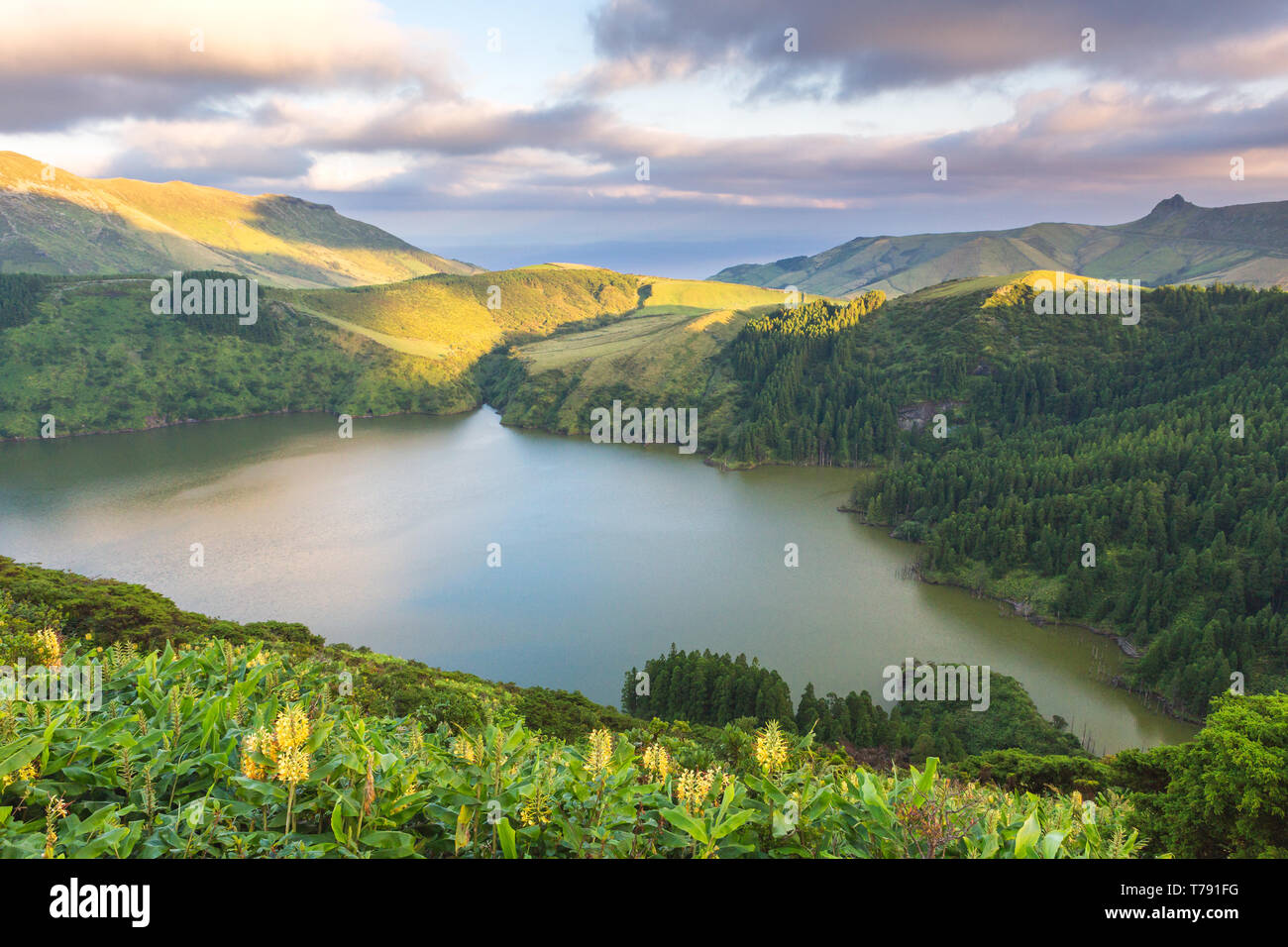 Flores azores lagoon hi-res stock photography and images - Alamy