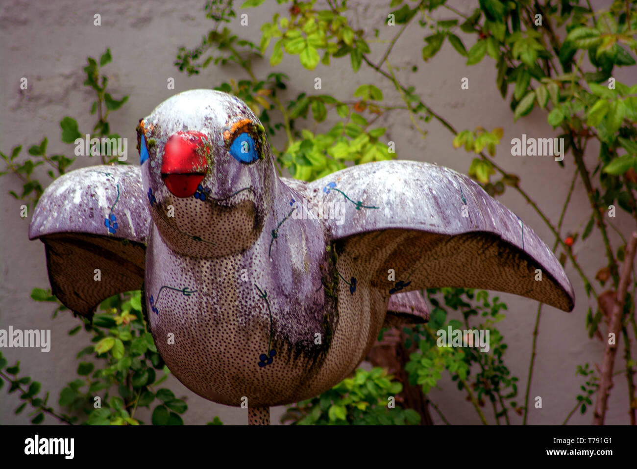Sparrow book cover image bird hi-res stock photography and images - Alamy